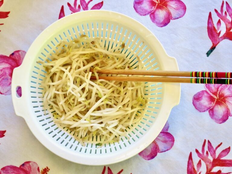 Dry Mein with Crunchy Bean Sprouts & Chili Crisp - My Lilikoi Kitchen